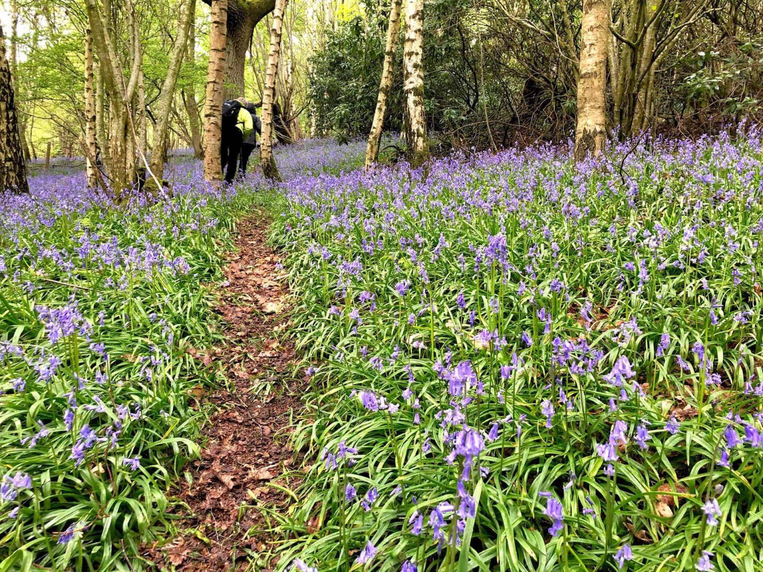 High Cup Nick Walk: From Dufton, Ascending to Amazing Views