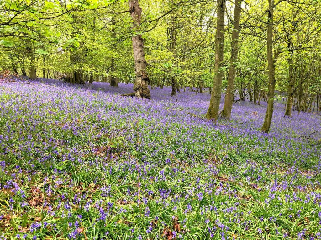 High Cup Nick Walk: From Dufton, Ascending to Amazing Views