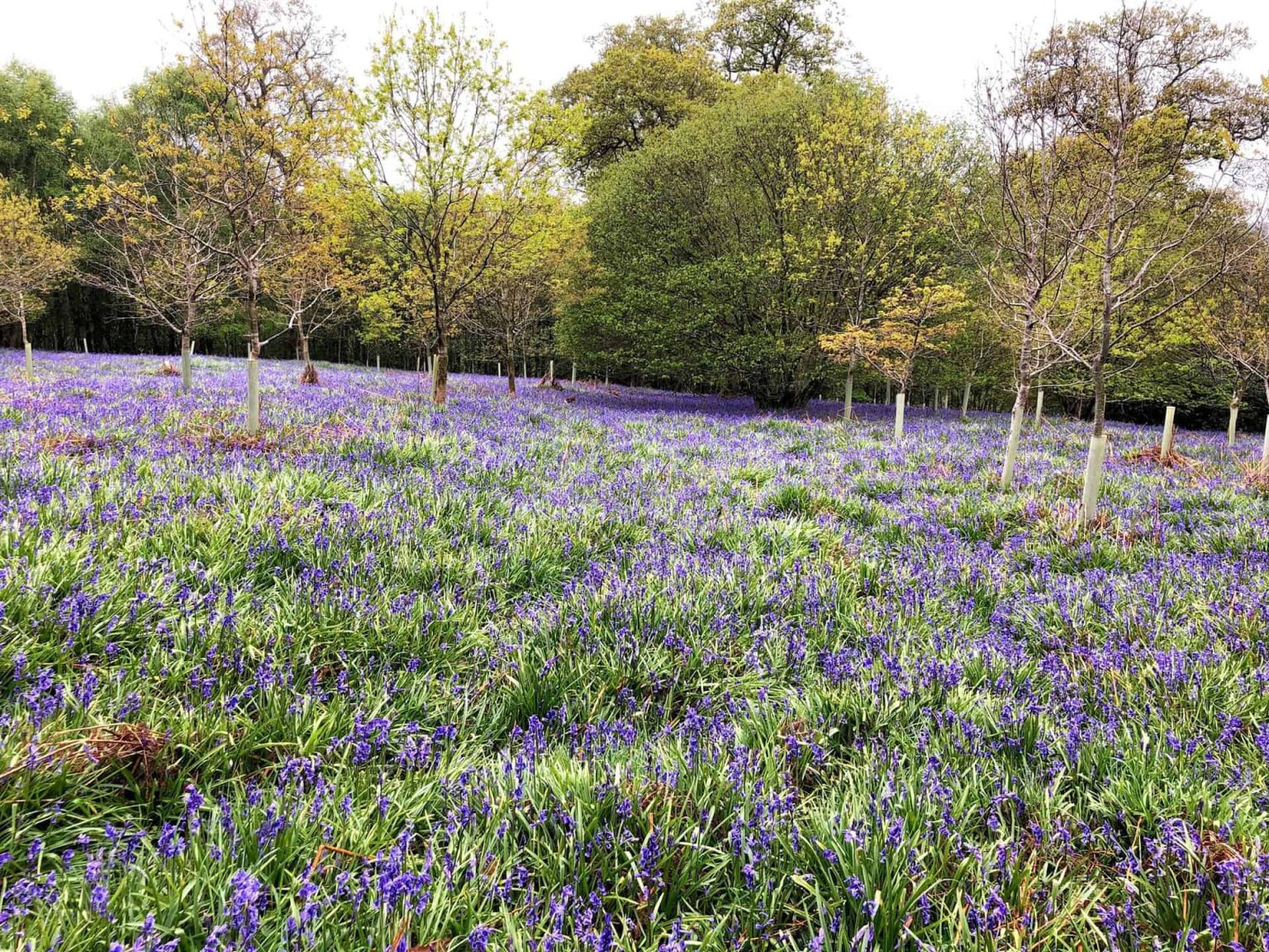 High Cup Nick Walk: From Dufton, Ascending to Amazing Views