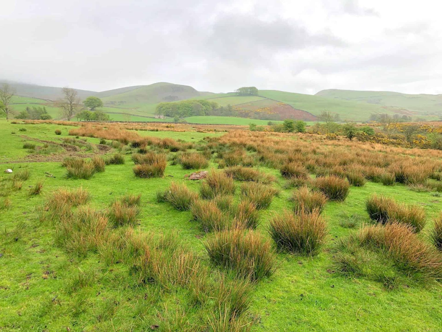 High Cup Nick Walk: From Dufton, Ascending to Amazing Views