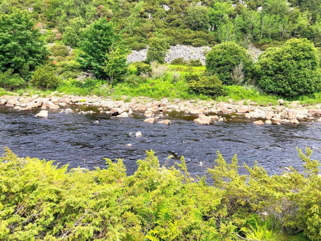 High Force Waterfall Walk: Trek to Low Force Waterfall and Beyond