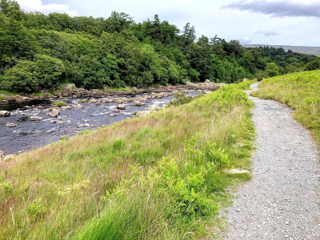 High Force Waterfall Walk: Trek to Low Force Waterfall and Beyond
