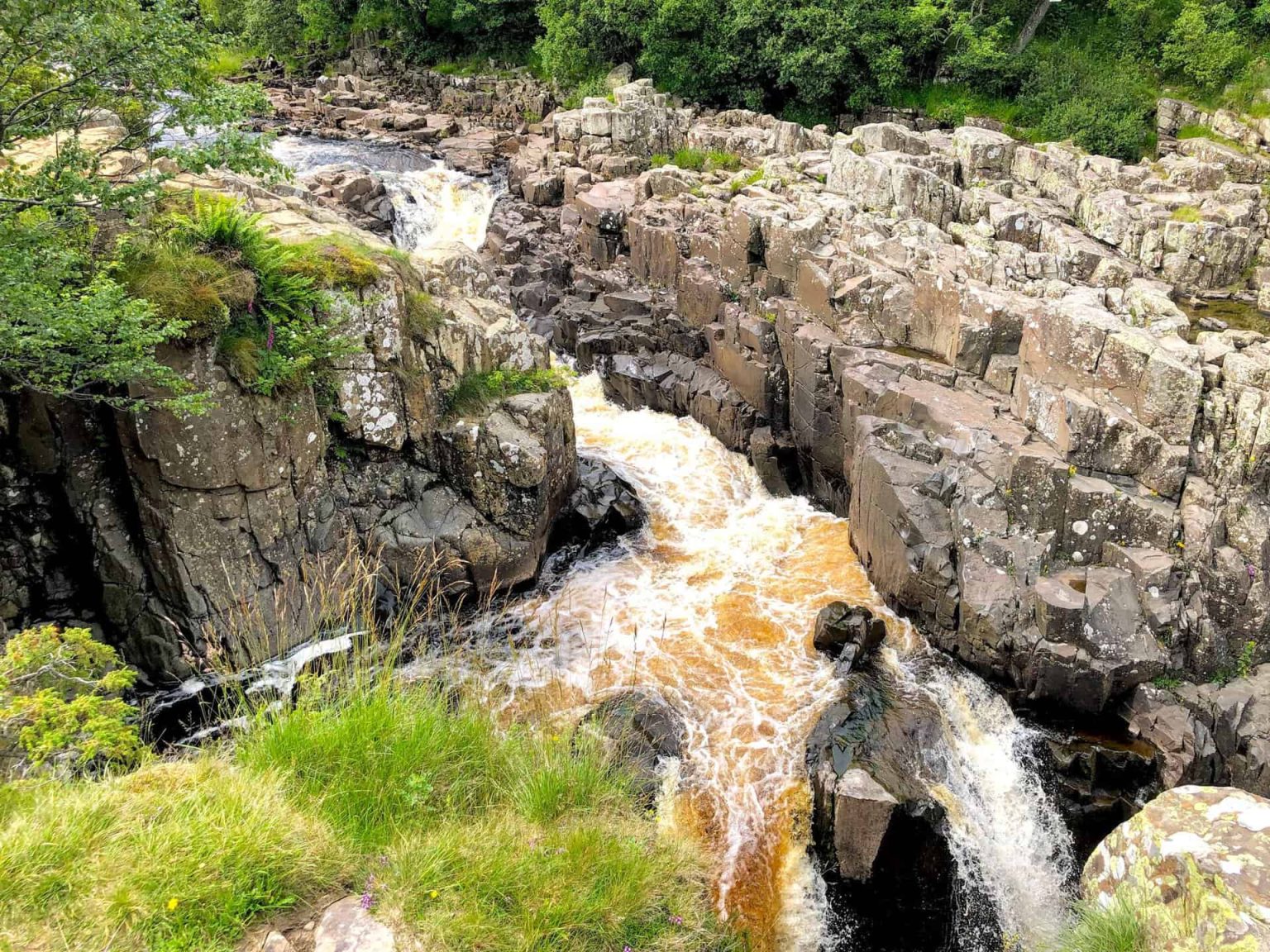 High Force Waterfall Walk: Trek to Low Force Waterfall and Beyond