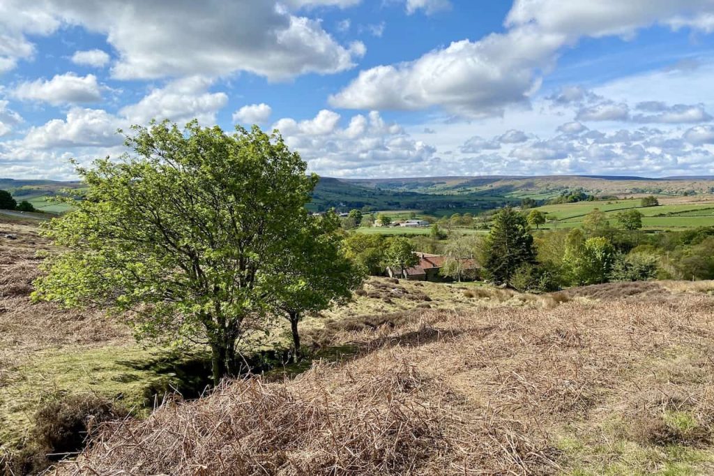 Castleton Walk: Trekking Ancient Pathways in the North York Moors