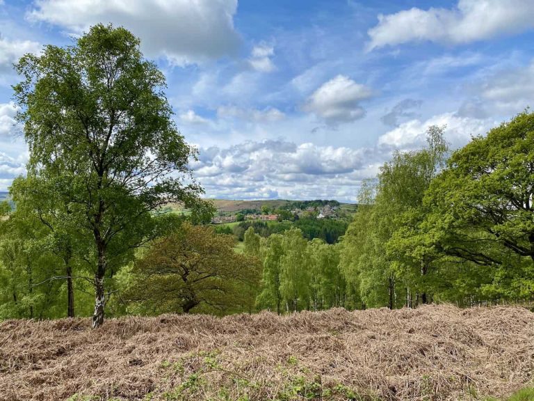 Castleton Walk: Trekking Ancient Pathways in the North York Moors