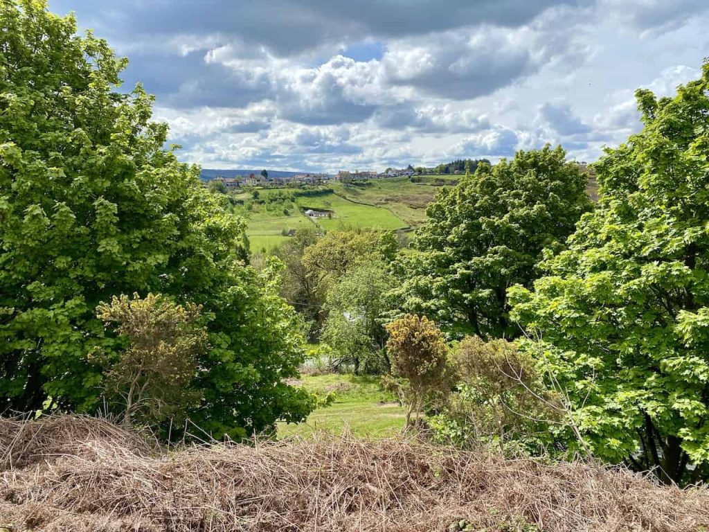 Castleton Walk: Trekking Ancient Pathways in the North York Moors