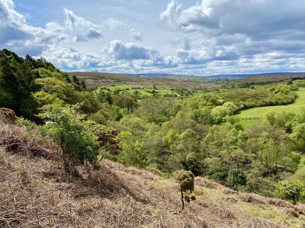 Castleton Walk: Trekking Ancient Pathways in the North York Moors