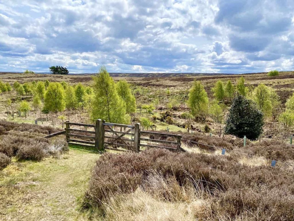 Castleton Walk: Trekking Ancient Pathways in the North York Moors