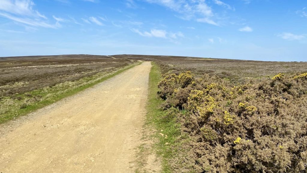 Danby Beacon Walk: Scenic Route From Lealholm to Danby Castle