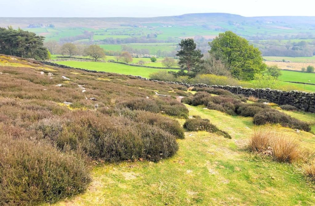 Esk Valley Walk: Two Key Sections, Danby Dale and Westerdale