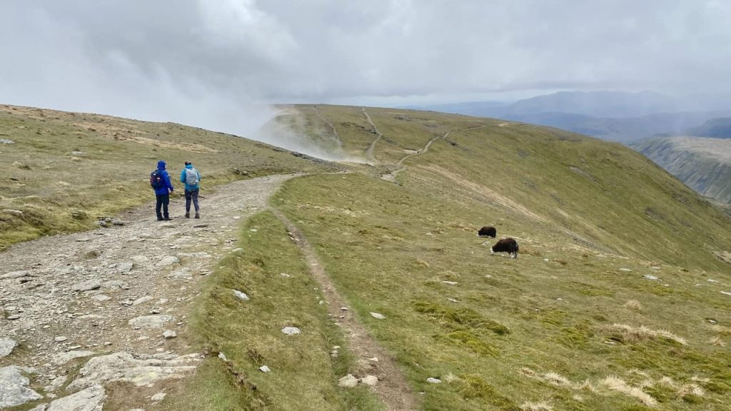 Helvellyn Circular Walk: A Day Hike with Superb Lake District Views