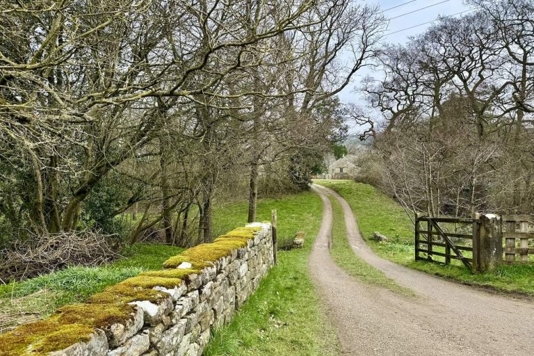 Farndale Daffodils Walk: Church Houses to Low Mill Circular Route