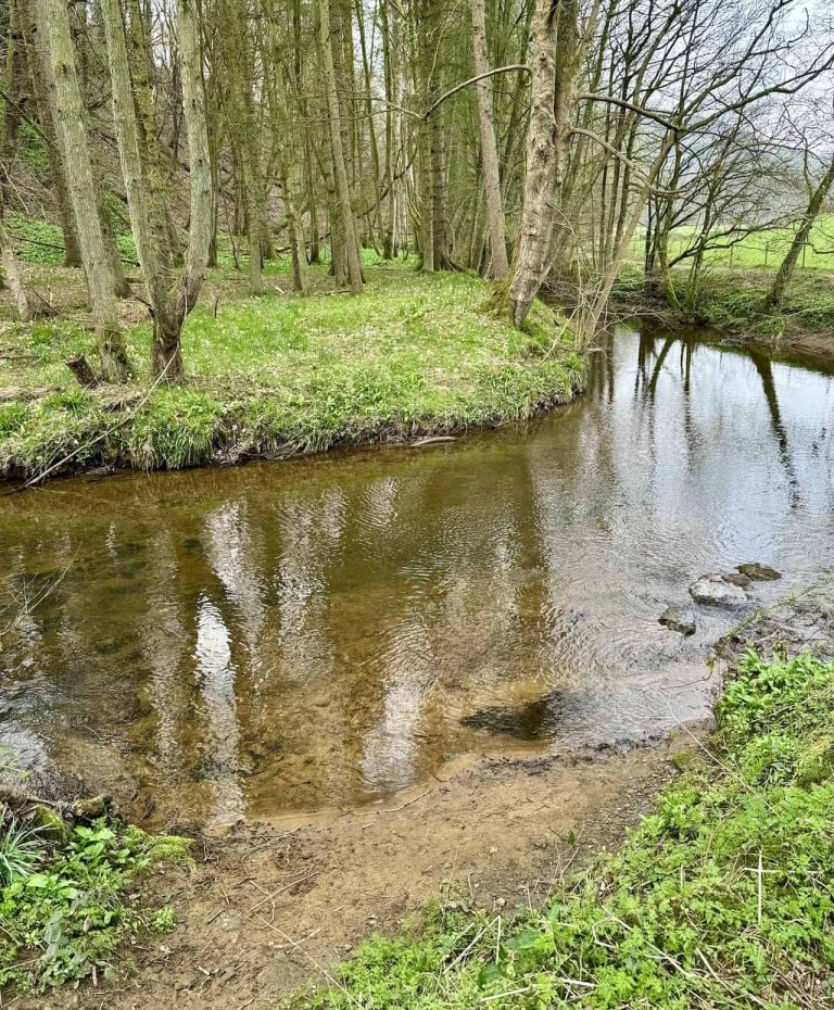 Farndale Daffodils: Walk Low Mill to Church Houses, Family Route