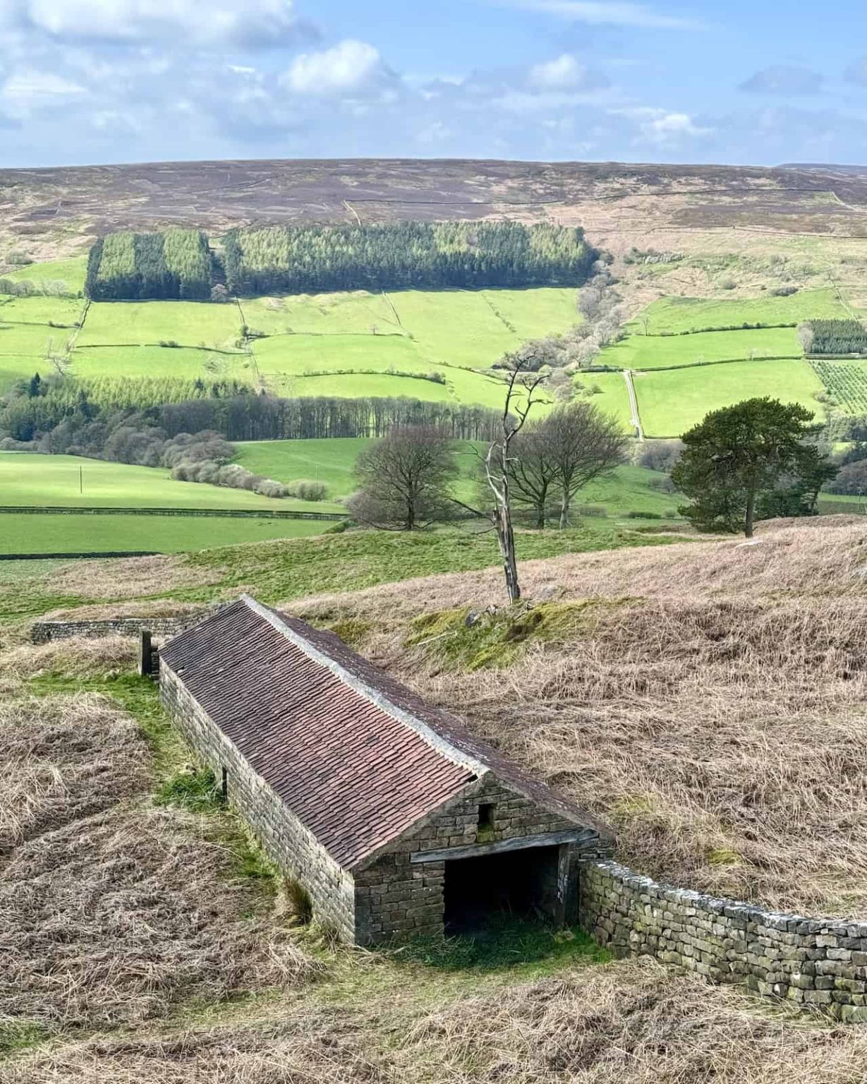 Lordstones Walk: Experience Wainstones and Cringle Moor Views