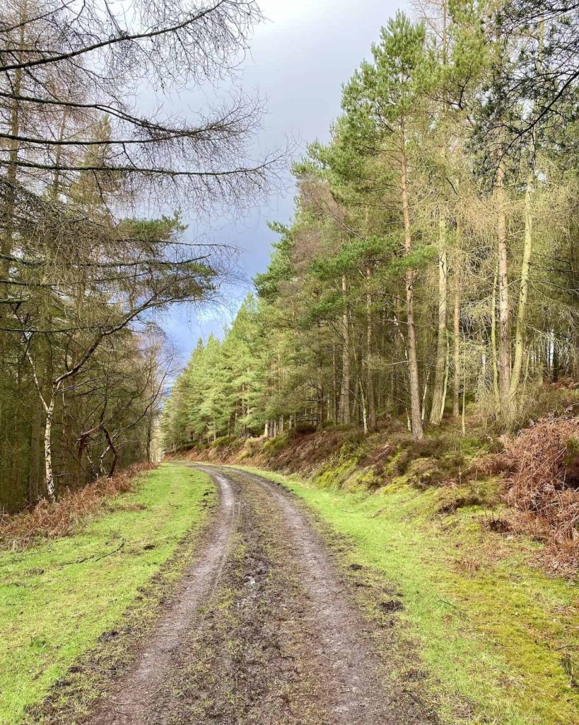 Hawnby Hill: A Delightful Nine-Mile Walk in the North York Moors
