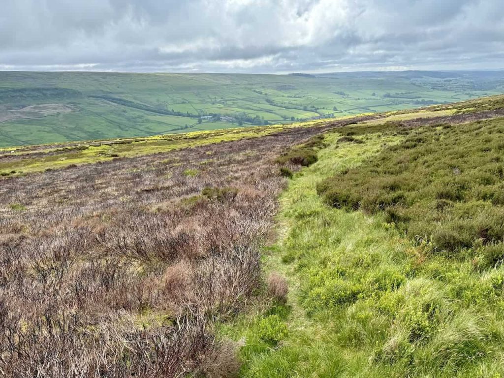 Blakey Ridge Walk: Experience Rosedale’s Countryside and Views