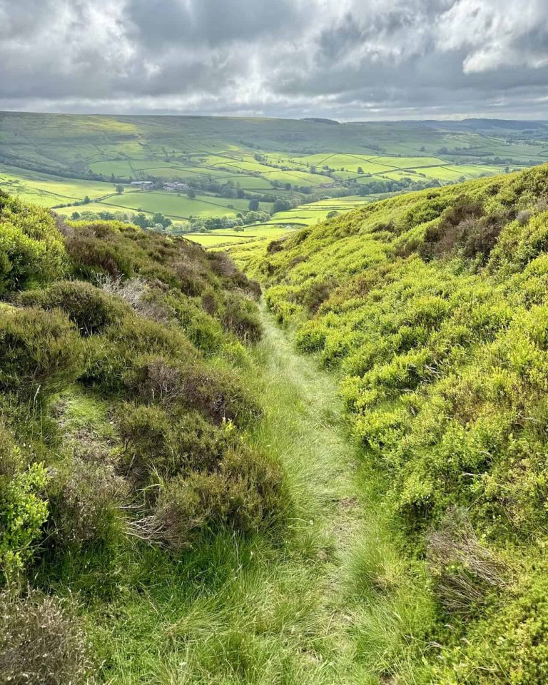 Blakey Ridge Walk: Experience Rosedale’s Countryside and Views
