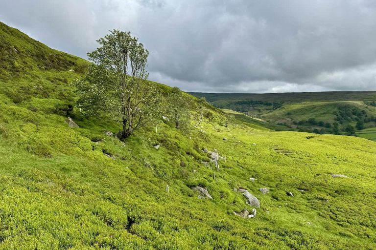 Blakey Ridge Walk: Experience Rosedale’s Countryside and Views