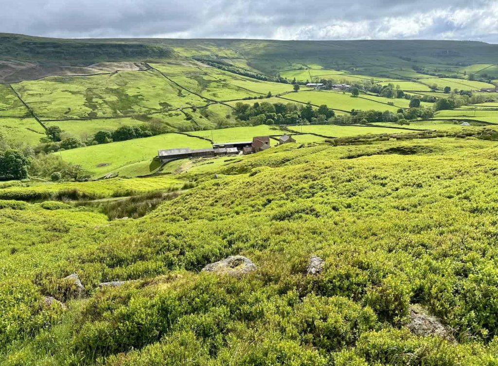 Blakey Ridge Walk: Experience Rosedale’s Countryside and Views