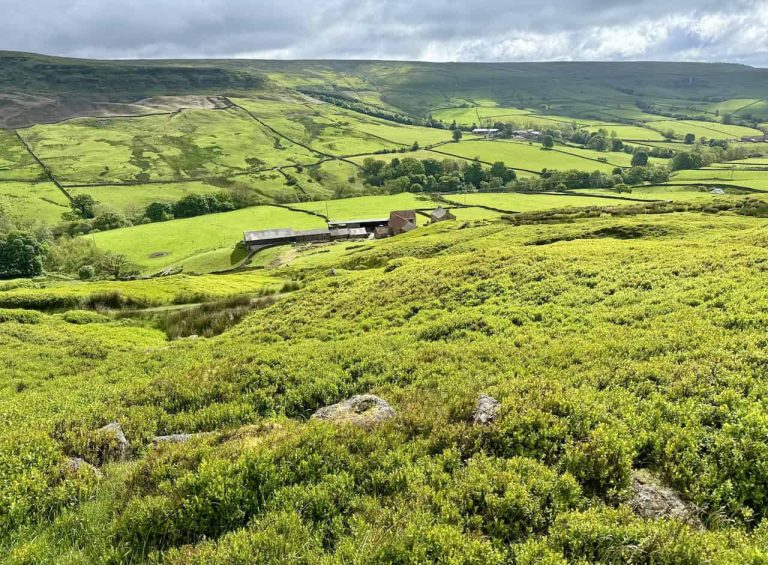 Blakey Ridge Walk: Experience Rosedale’s Countryside and Views