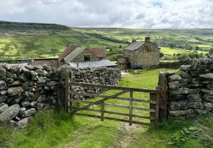 Blakey Ridge Walk: Experience Rosedale’s Countryside and Views