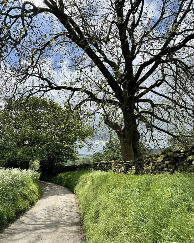 Blakey Ridge Walk: Experience Rosedale’s Countryside and Views
