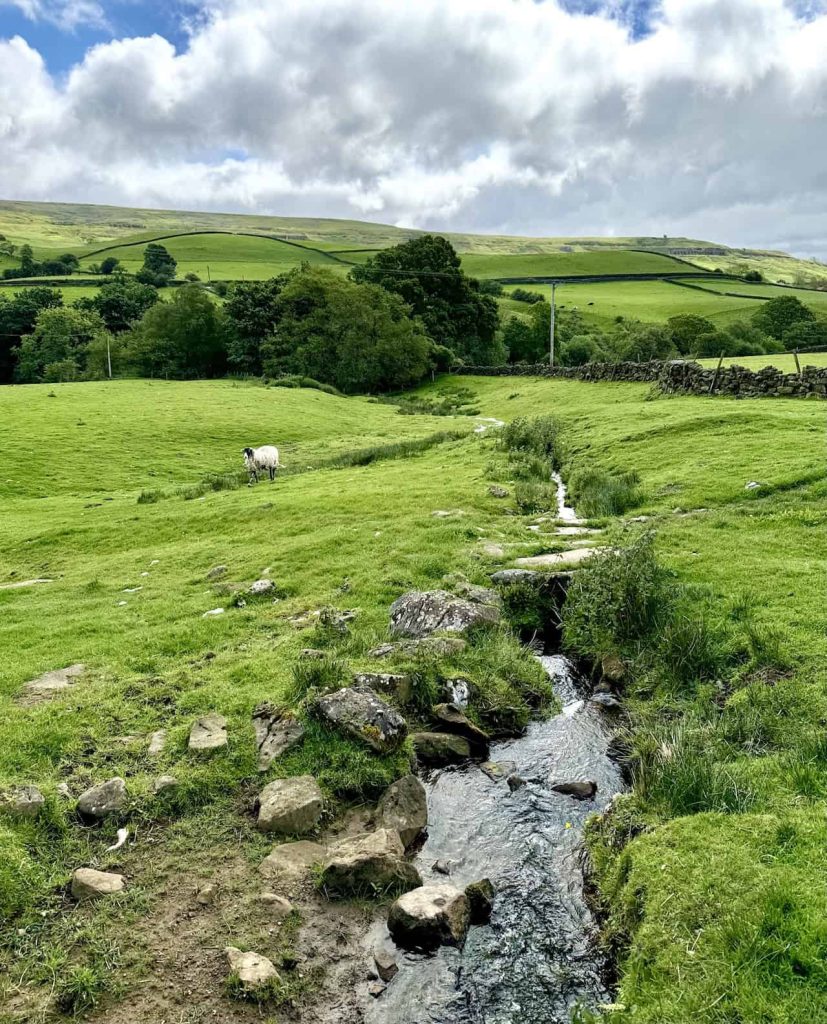 Blakey Ridge Walk: Experience Rosedale’s Countryside and Views