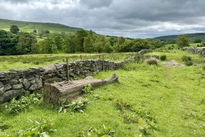 Blakey Ridge Walk: Experience Rosedale’s Countryside and Views