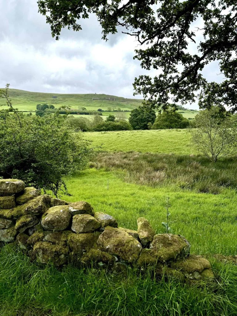 Blakey Ridge Walk: Experience Rosedale’s Countryside and Views