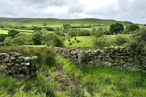 Blakey Ridge Walk: Experience Rosedale’s Countryside and Views