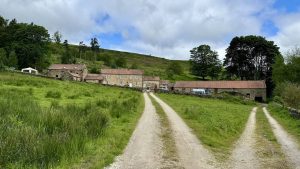 Blakey Ridge Walk: Experience Rosedale’s Countryside and Views