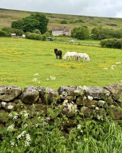 Blakey Ridge Walk: Experience Rosedale’s Countryside and Views