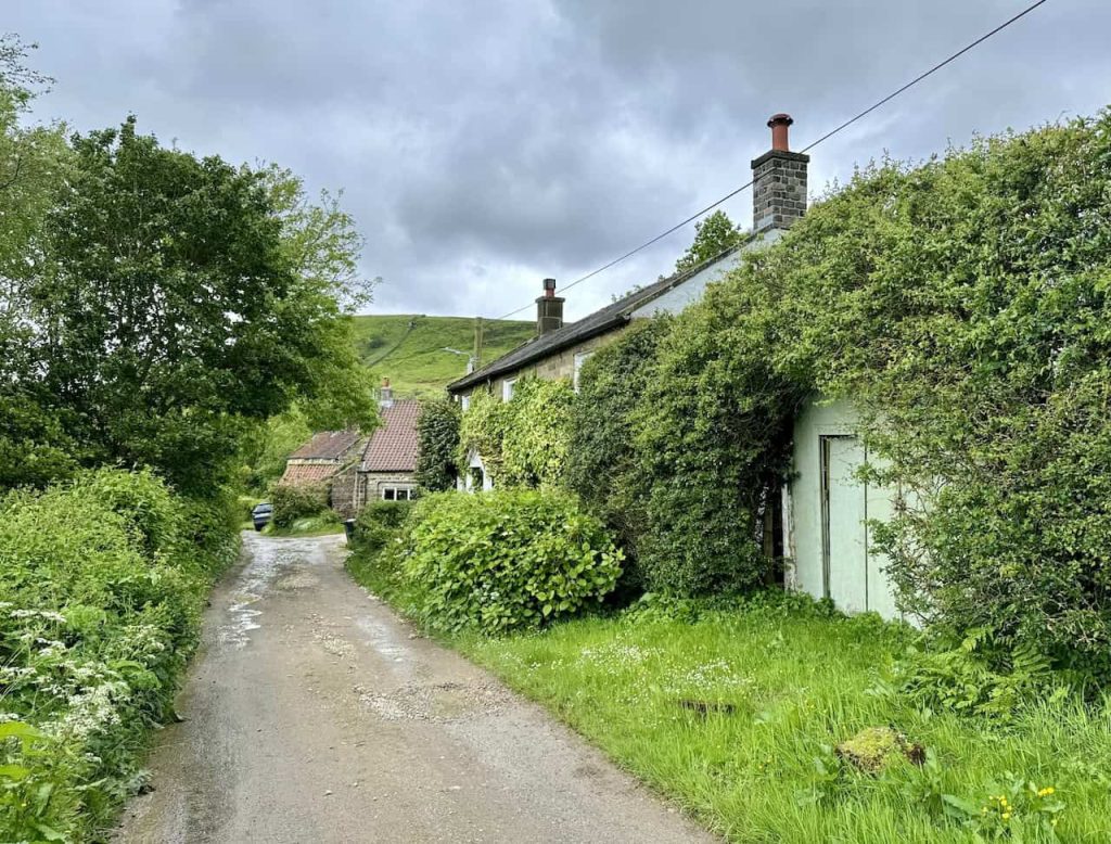 Blakey Ridge Walk: Experience Rosedale’s Countryside and Views