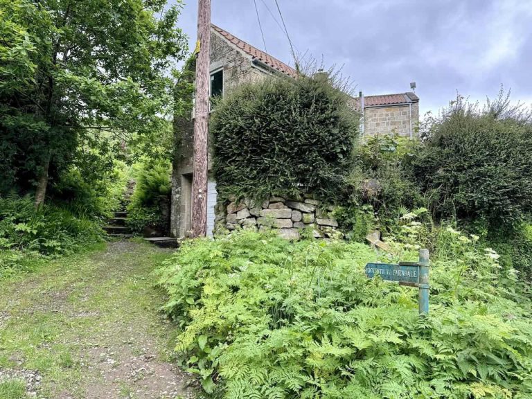 Blakey Ridge Walk: Experience Rosedale’s Countryside and Views