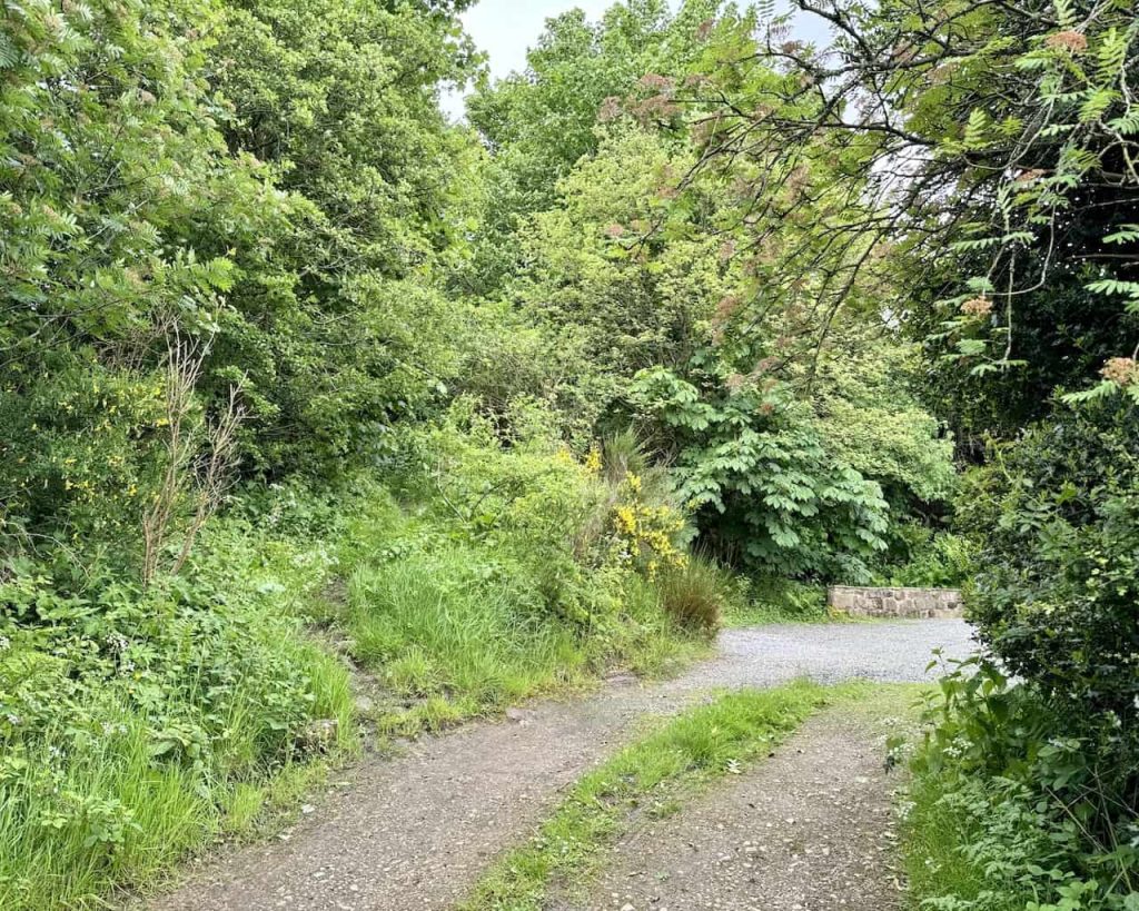 Blakey Ridge Walk: Experience Rosedale’s Countryside and Views