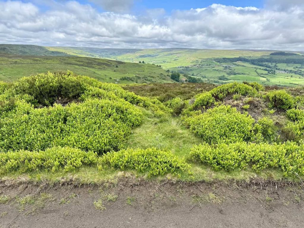 Blakey Ridge Walk: Experience Rosedale’s Countryside and Views