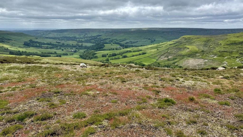 Blakey Ridge Walk: Experience Rosedale’s Countryside and Views