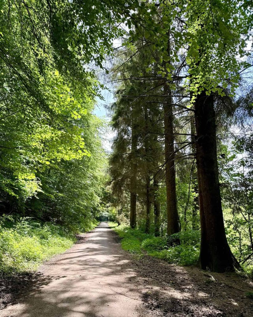 Dalby Forest Walk: Thornton-le-Dale to Dalby Forest Visitor Centre