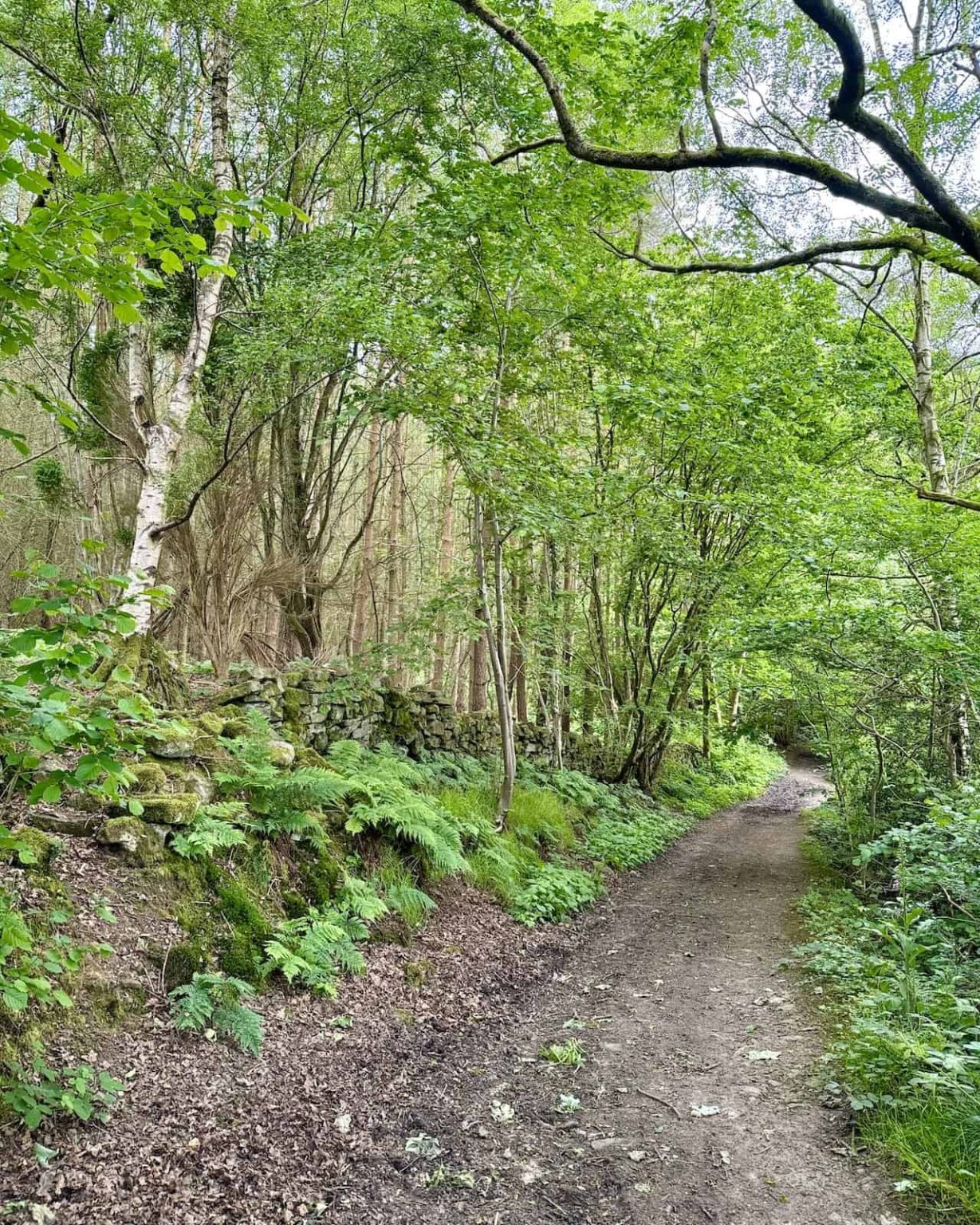 Farndale Walk: Explore Scenic Trails and the Quaker Burial Ground