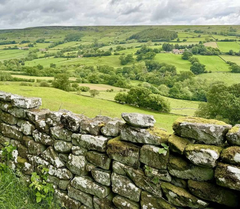 North York Moors Walks: Ancient Woodlands and Scenic Paths