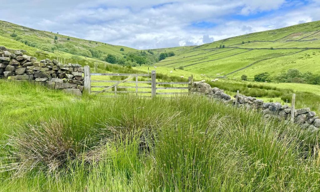 Farndale Walk: Explore Scenic Trails and the Quaker Burial Ground