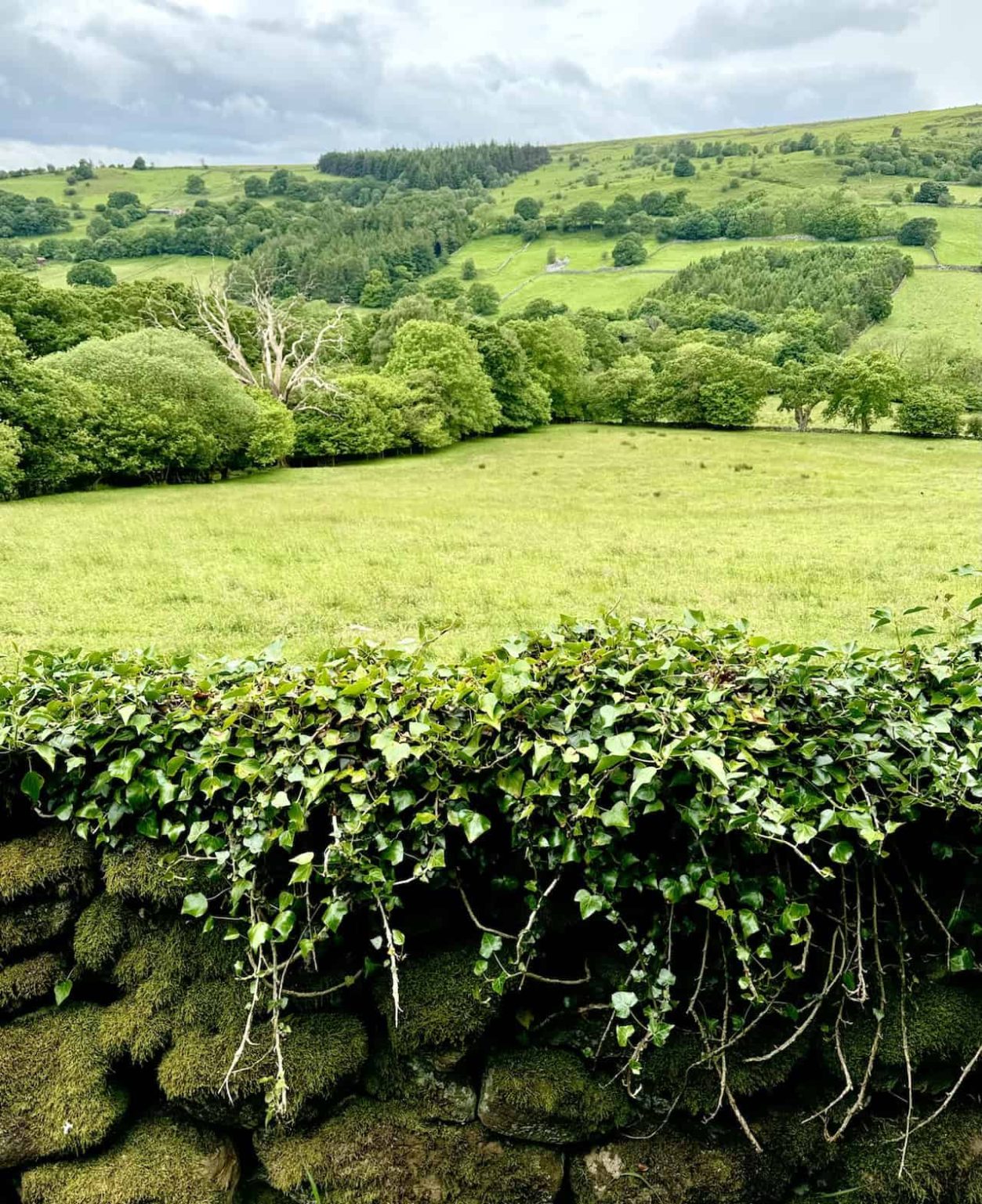 Farndale Walk: Explore Scenic Trails and the Quaker Burial Ground