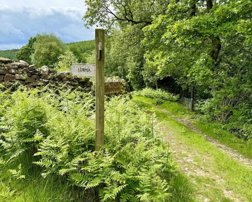 Farndale Walk: Explore Scenic Trails and the Quaker Burial Ground