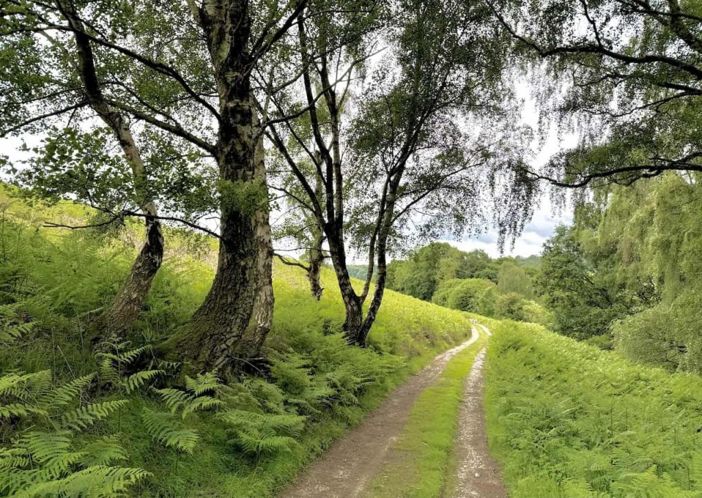 Farndale Walk: Explore Scenic Trails and the Quaker Burial Ground
