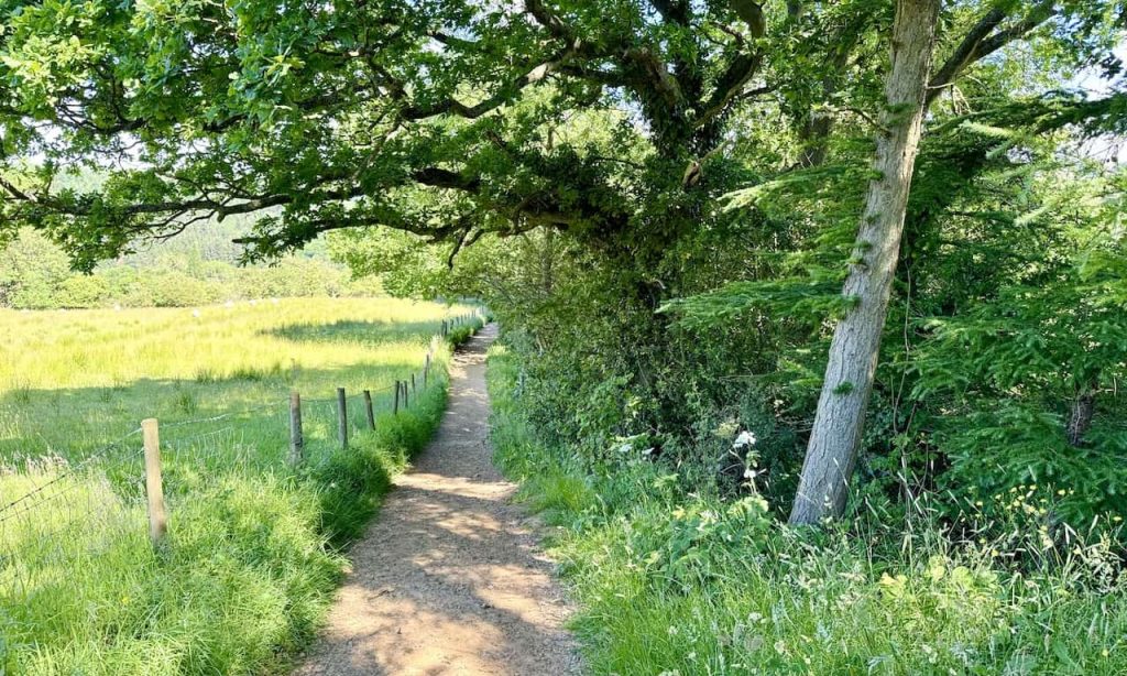 Goathland Walk: The Perfect Family-Friendly Day Out for All Ages