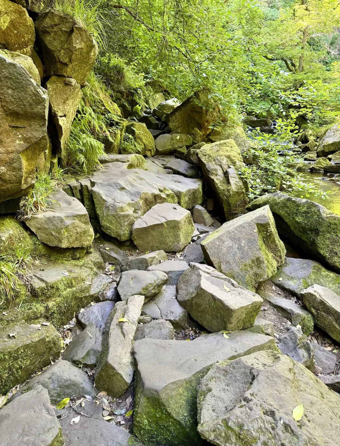 Goathland Walk: The Perfect Family-Friendly Day Out for All Ages