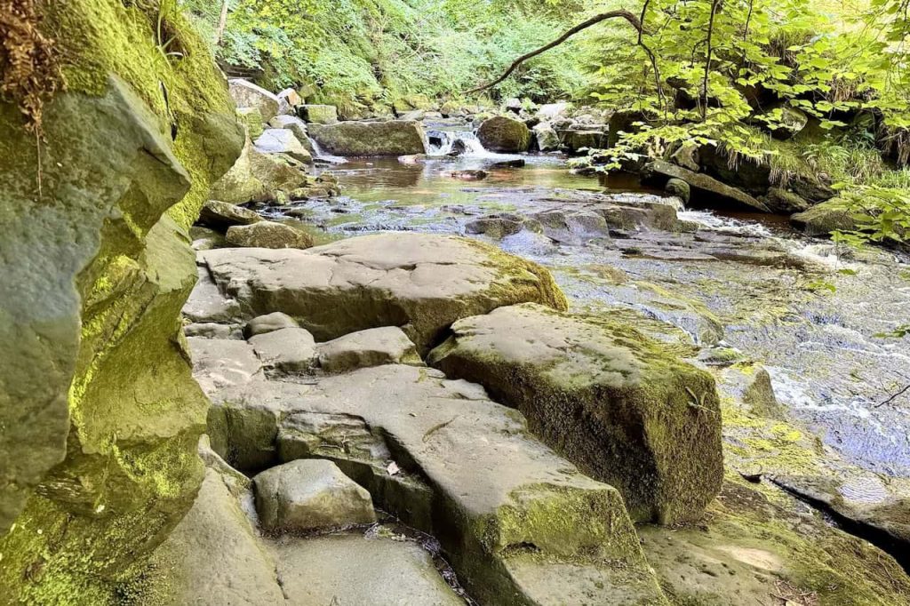 Goathland Walk: The Perfect Family-Friendly Day Out for All Ages