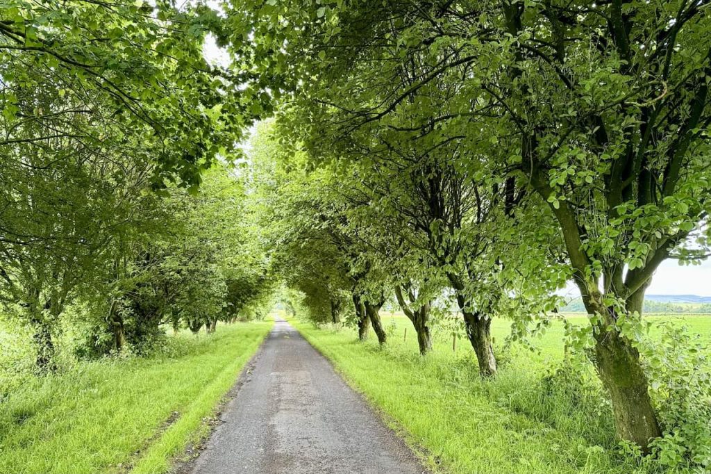 Helmsley Circular Walk: A Serene Trek Through North York Moors