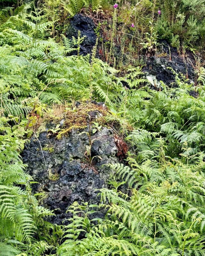 Grosmont to Goathland Walk: Scenic Route with Railway Heritage