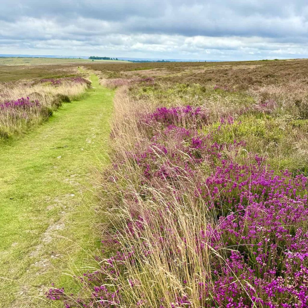 Hole of Horcum Circular Walk: Stunning Views and Moorland Trails